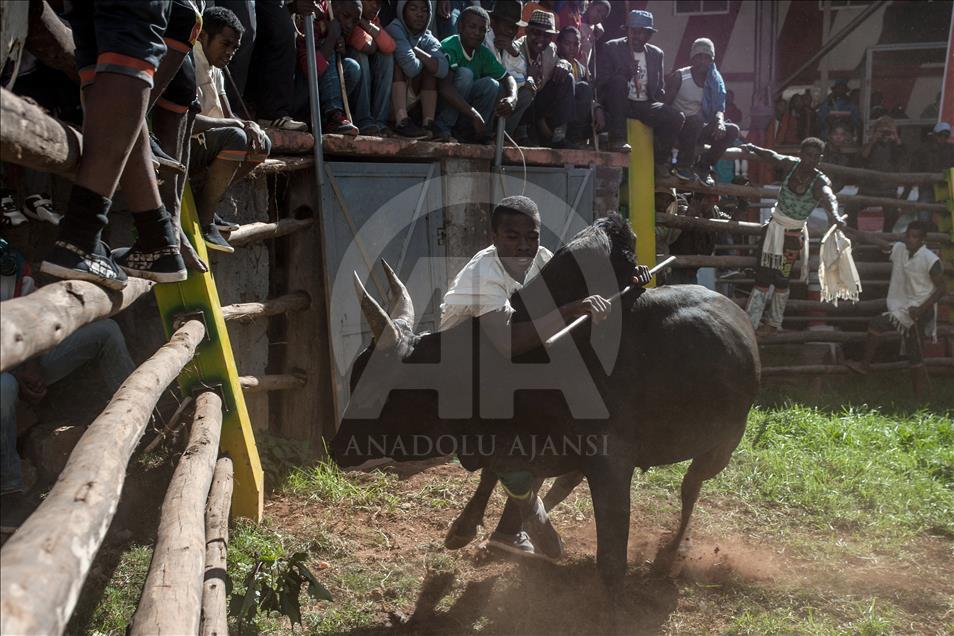 Madagaskar'da geleneksel ''Savika'' etkinliği - Anadolu Ajansı