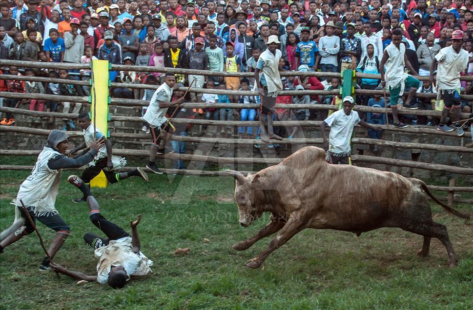 Madagaskar'da geleneksel ''Savika'' etkinliği - Anadolu Ajansı