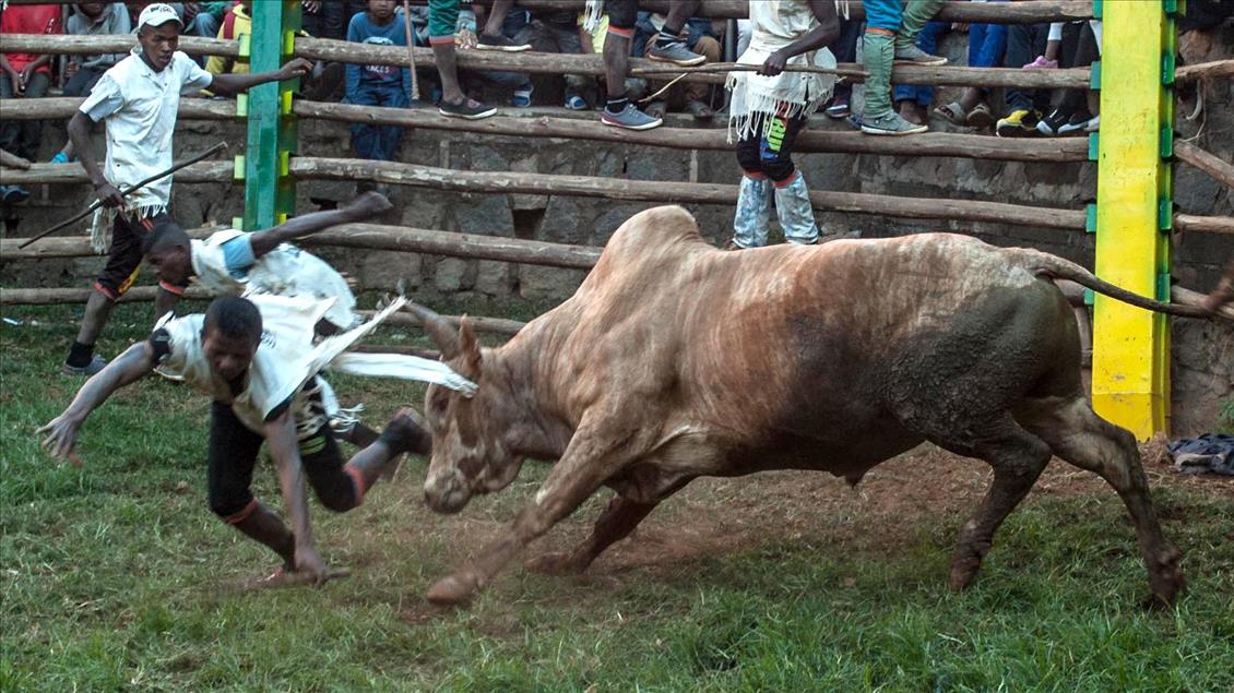 Madagaskar'da geleneksel ''Savika'' etkinliği - Anadolu Ajansı