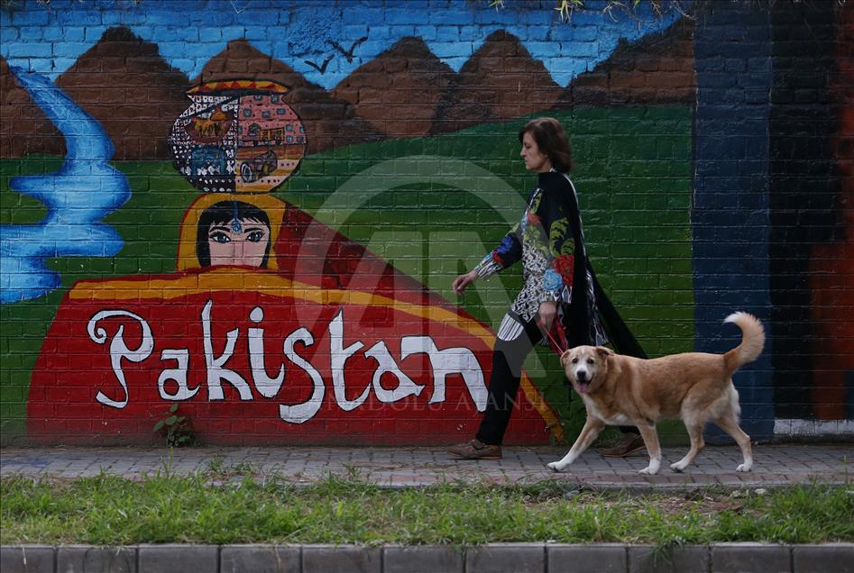 Mural paintings on a wall in Islamabad - Anadolu Ajansı