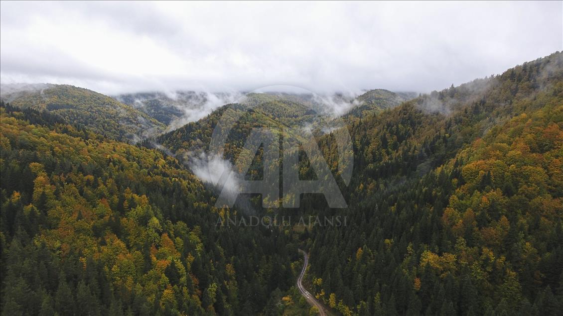 Colors of autumn in Turkey's Kastamonu Province - Anadolu Ajansı