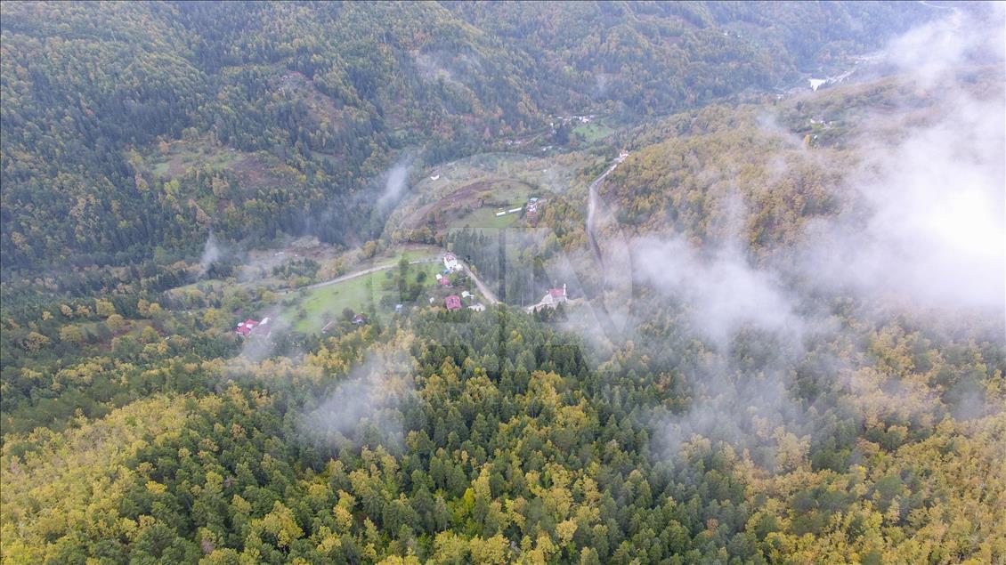 Colors of autumn in Turkey's Kastamonu Province - Anadolu Ajansı