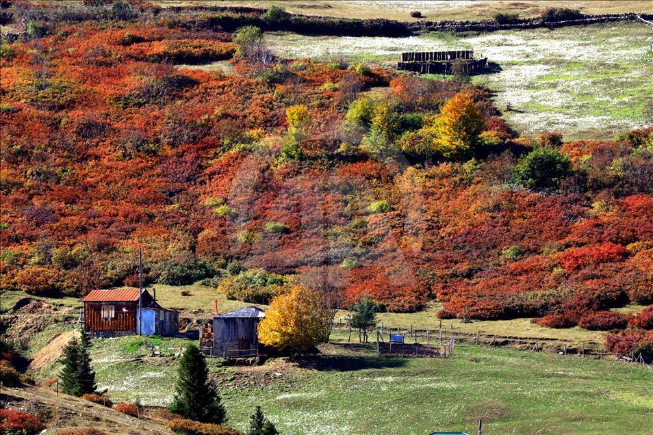 Colors of autumn in Turkey's northern city Trabzon - Anadolu Ajansı