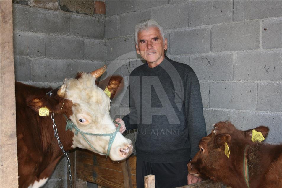 TİKA’nın Kosova'daki Tarımsal Kalkınma Programı meyvelerini veriyor ...