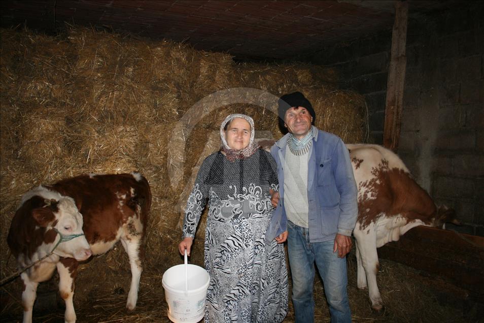 TİKA’nın Kosova'daki Tarımsal Kalkınma Programı meyvelerini veriyor ...