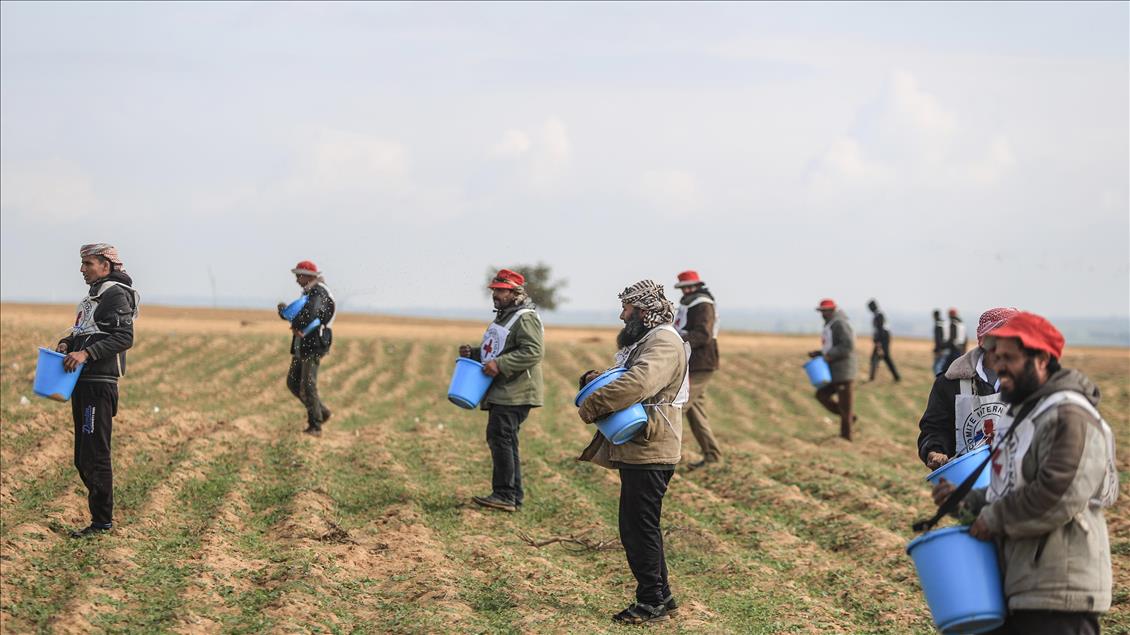 Farming in Gaza after 12 years - Anadolu Ajansı