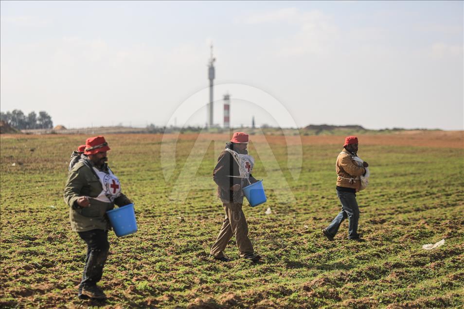 Farming in Gaza after 12 years - Anadolu Ajansı