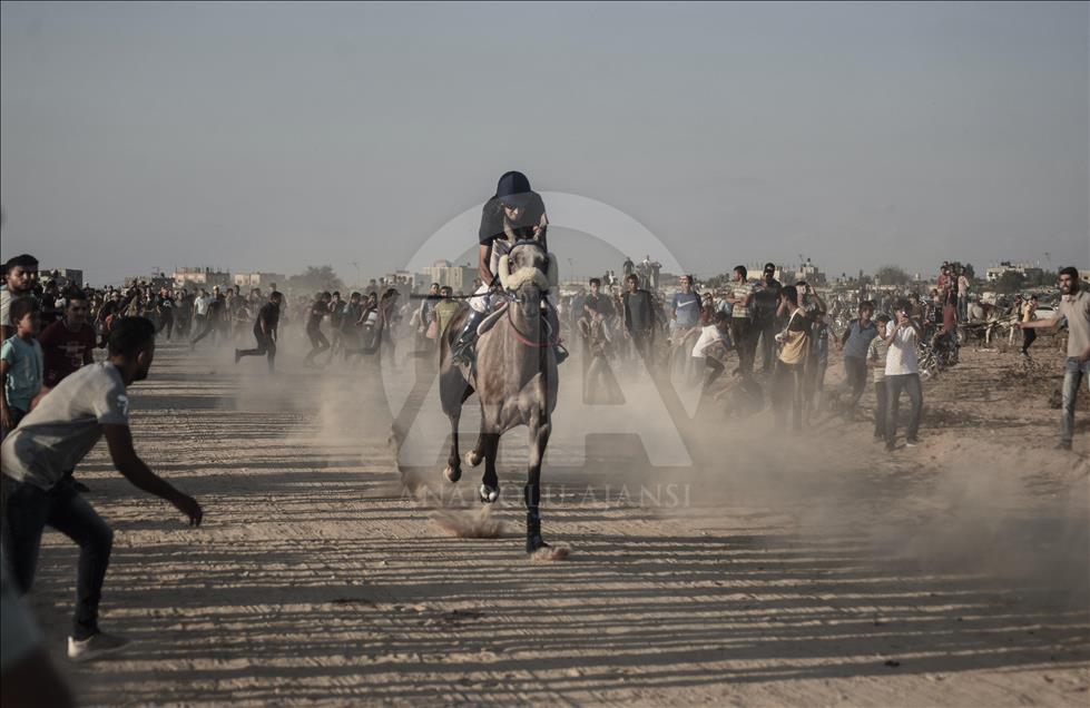 Horse race in Gaza - Anadolu Ajansı