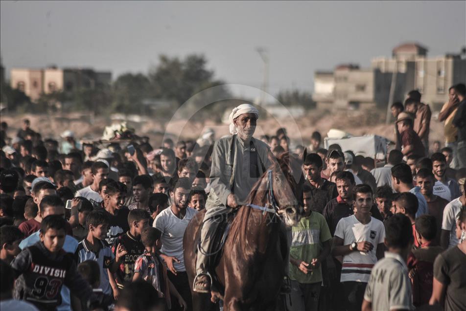 Horse race in Gaza - Anadolu Ajansı