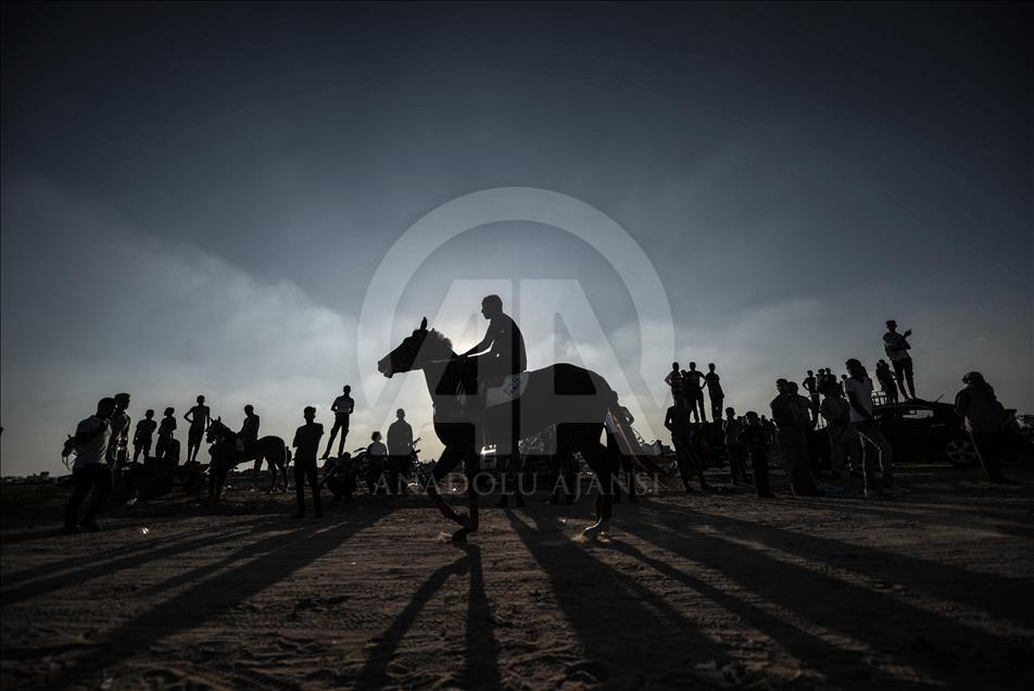 Horse race in Gaza - Anadolu Ajansı