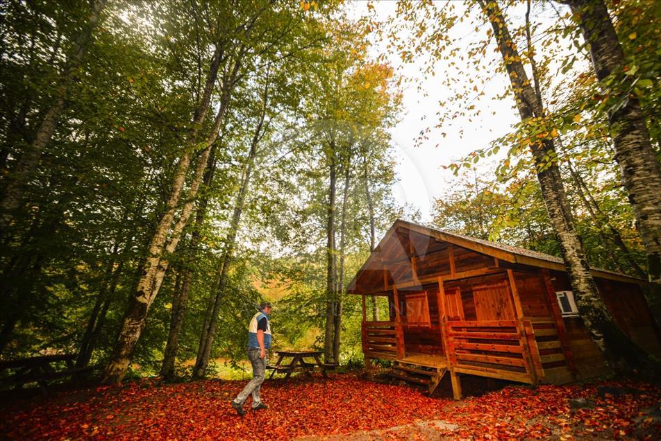بحيرة أولو غول التركية.. حيث الخريف في أبهى صوره - Anadolu Ajansı