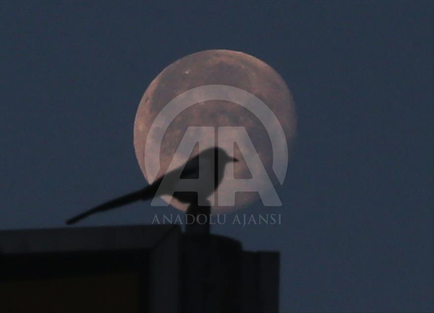 Moon over Turkey's capital Ankara - Anadolu Ajansı