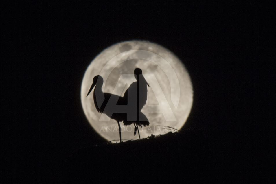 Full moon over Turkey's Igdir - Anadolu Ajansı