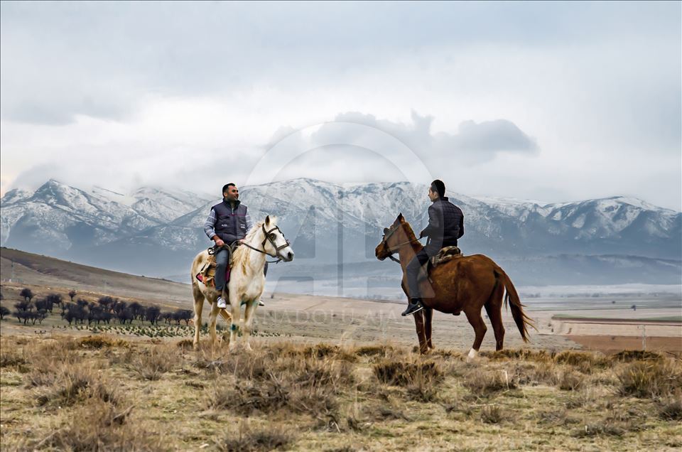 The bond between Crimean Tatars and Horses - Anadolu Ajansı