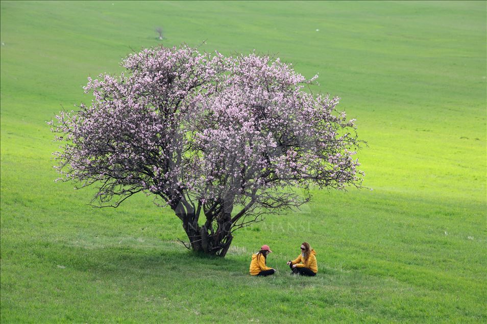 The second largest island of Lake Van - Anadolu Ajansı