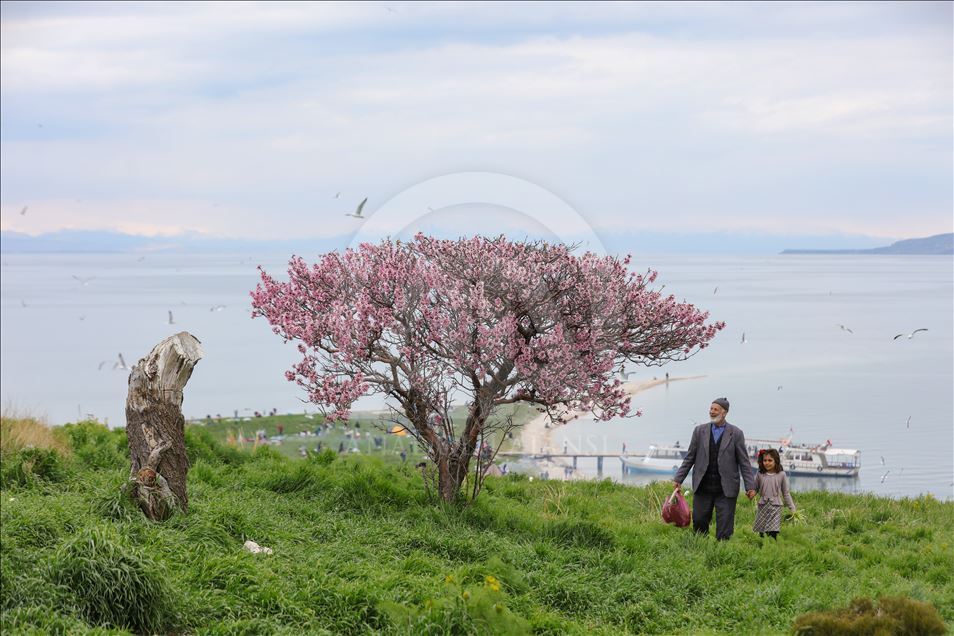 The second largest island of Lake Van - Anadolu Ajansı