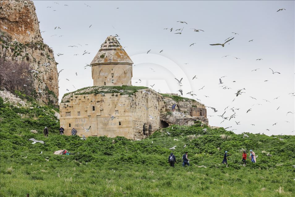The second largest island of Lake Van - Anadolu Ajansı
