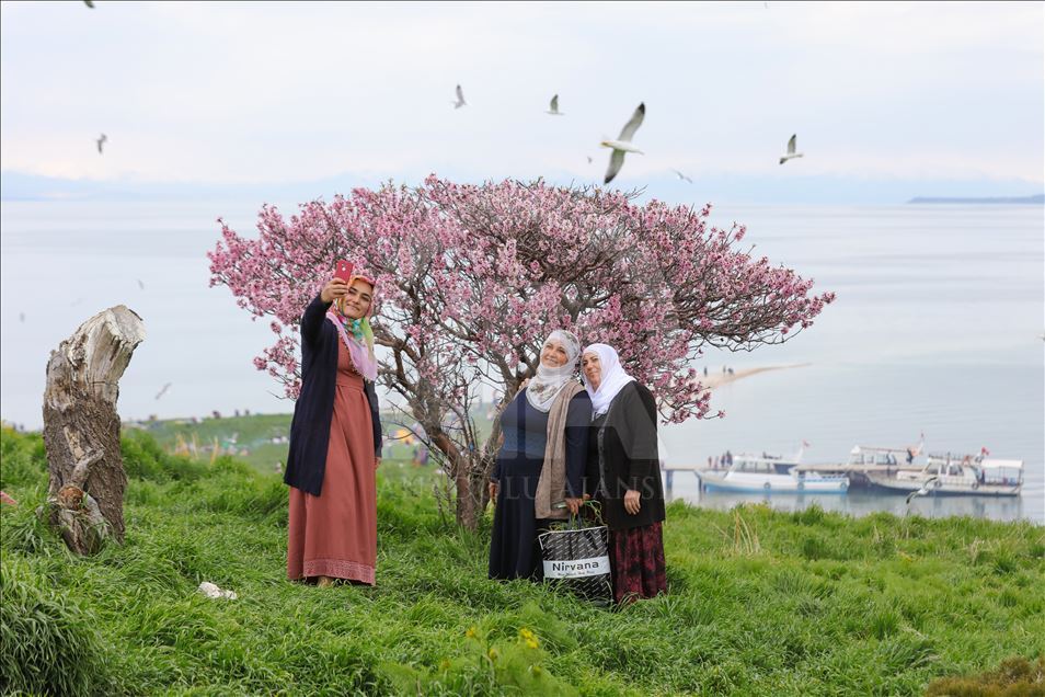 The second largest island of Lake Van - Anadolu Ajansı