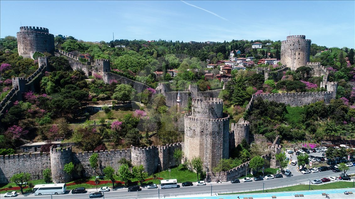 Time to see Judas trees in Istanbul - Anadolu Ajansı