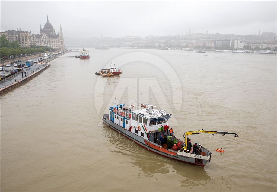 Tuna Nehri'nde yolcu gemisi battı - Anadolu Ajansı