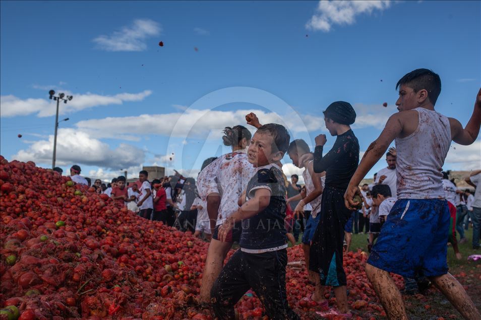 The Great Tomato Fight in Colombia - Anadolu Ajansı