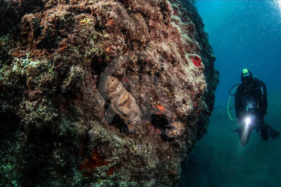 'The Red Sea of Turkey' in danger of waste - Anadolu Ajansı