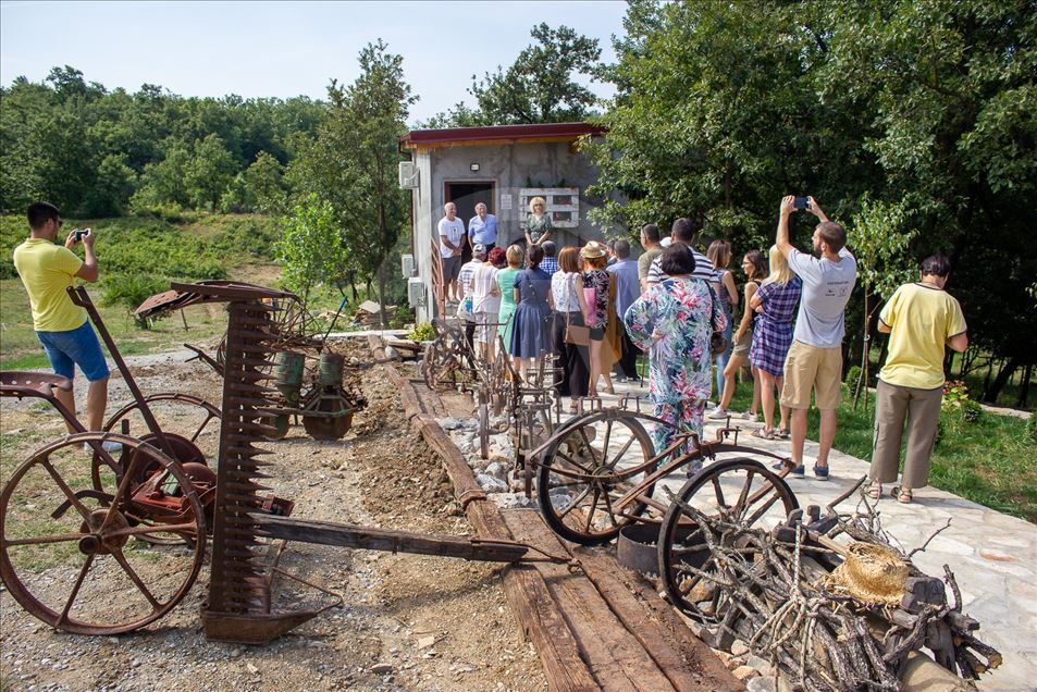 Balkan's first "Donkey Museum" attracts visitors - Anadolu Ajansı