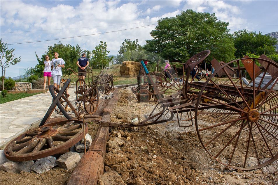 Balkan's first "Donkey Museum" attracts visitors - Anadolu Ajansı