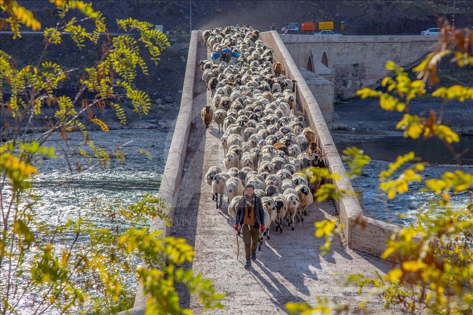 Palu Bridge in Turkey's Elazig - Anadolu Ajansı