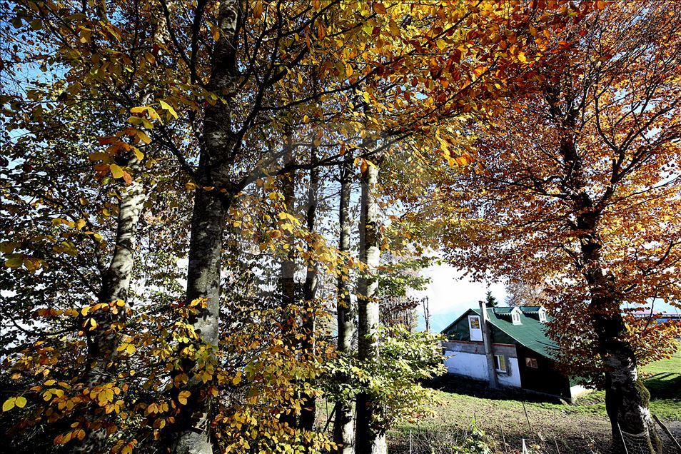 La temporada de otoño en Trebisonda, Turquía - Anadolu Ajansı