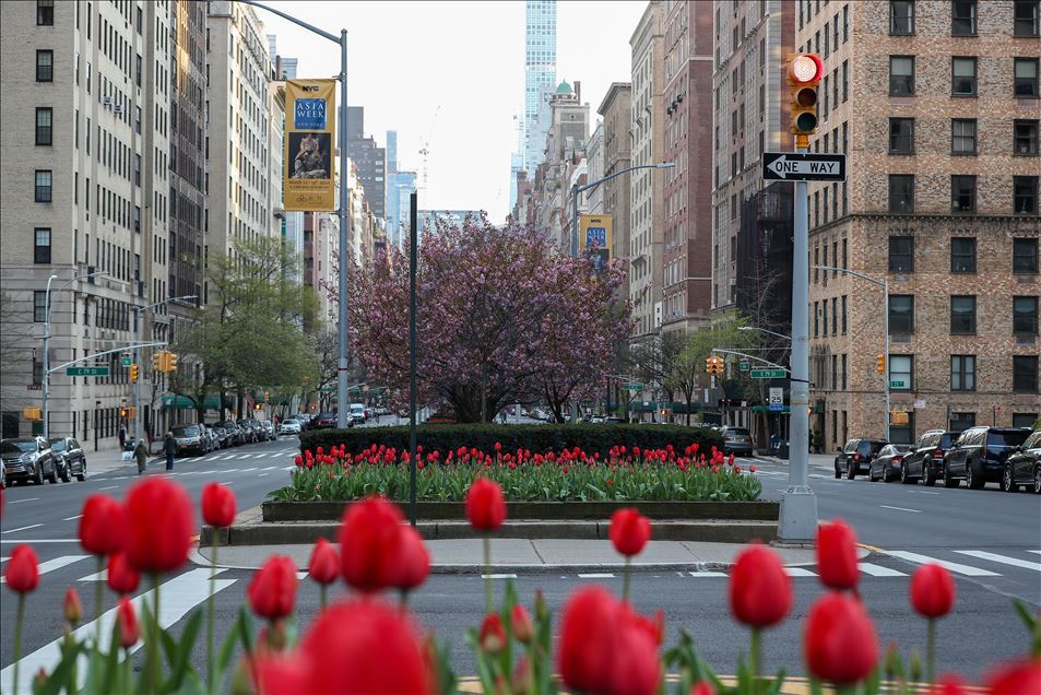 Tulips in New York City - Anadolu Ajansı