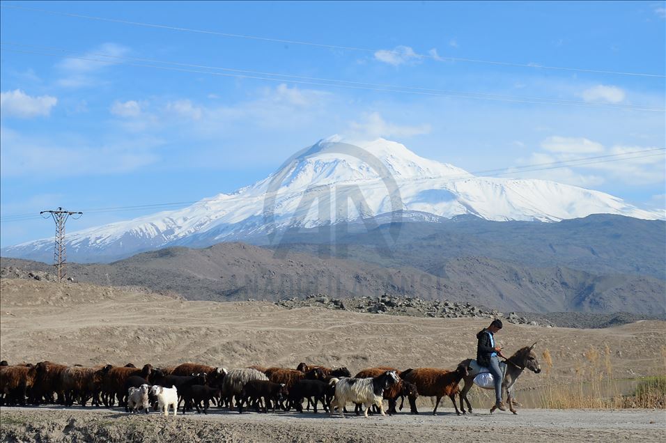 Pogled na Ararat, najviši planinski vrh istočne Turske - Anadolu Ajansı