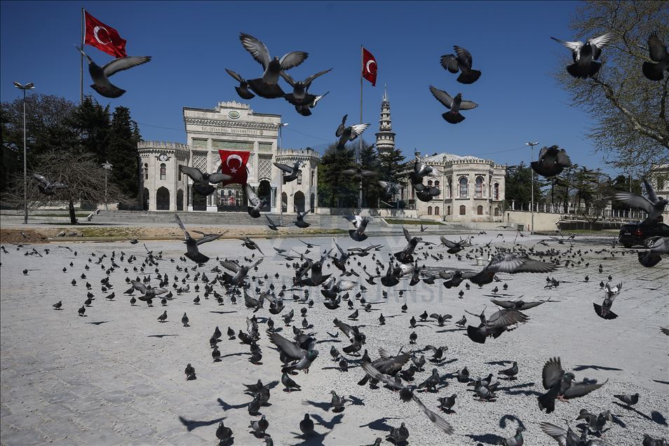 Animal lovers feed pigeons in the historic squares of Istanbul ...