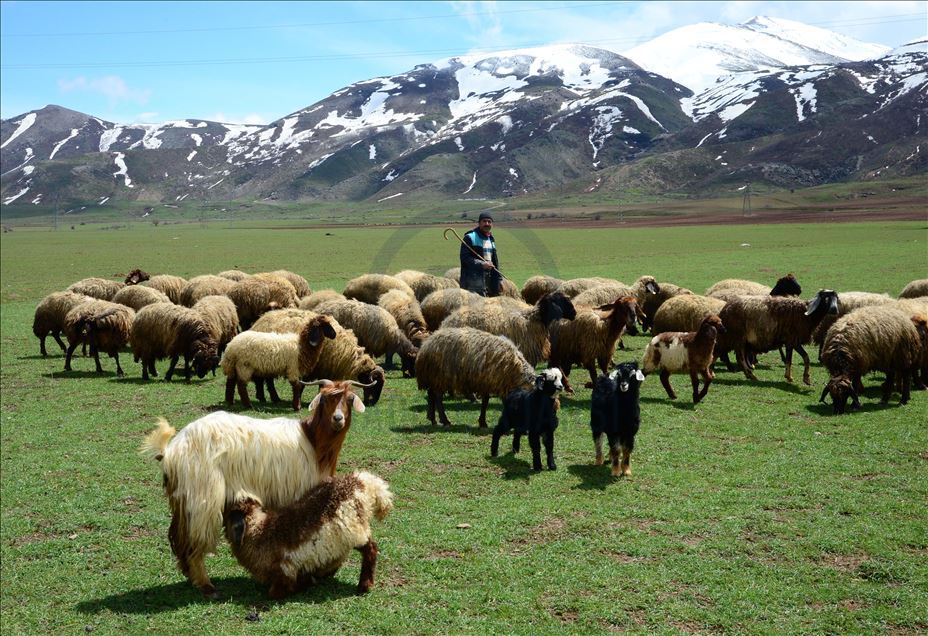 Spring starts in Turkey's eastern Bitlis city - Anadolu Ajansı