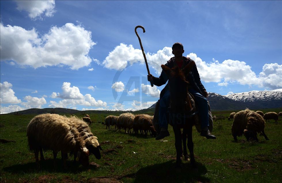 Spring starts in Turkey's eastern Bitlis city - Anadolu Ajansı