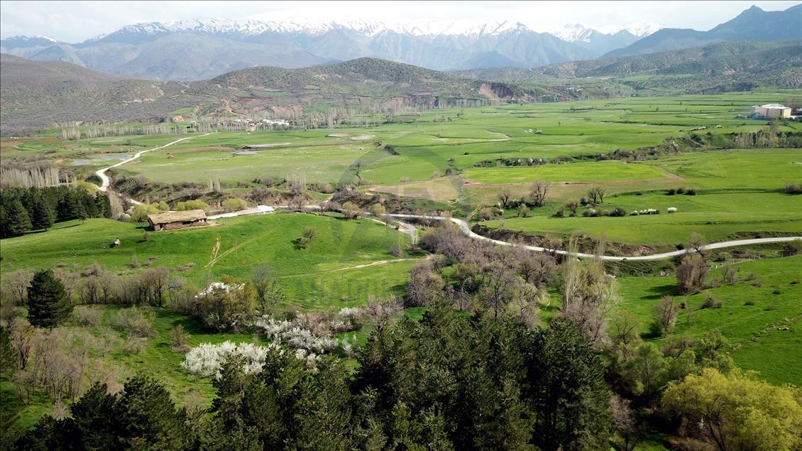 Spring starts in Turkey's eastern Bitlis city - Anadolu Ajansı