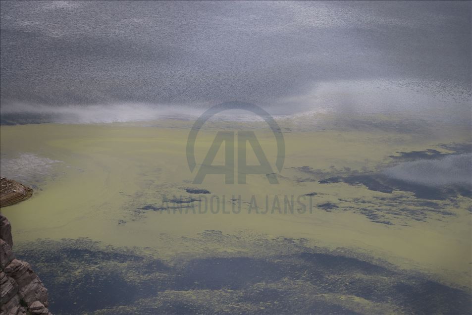 Denizli'de "alg patlaması" baraj gölünün rengini değiştirdi - Anadolu ...