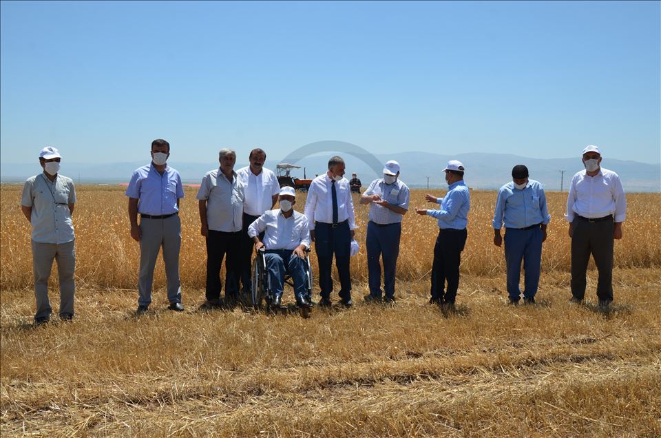 Tê texmînkirin ku li Mûşê ji dan û dexlê milyarek lire dahat were ...