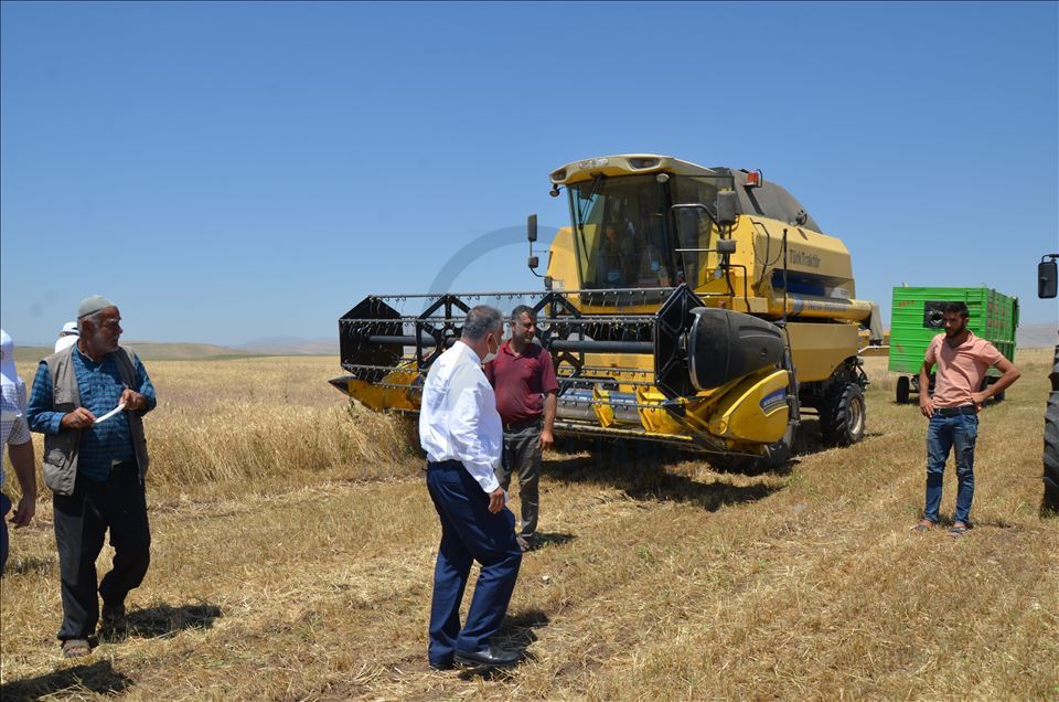 Tê texmînkirin ku li Mûşê ji dan û dexlê milyarek lire dahat were ...
