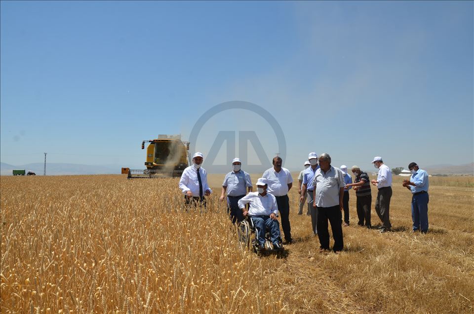 Tê texmînkirin ku li Mûşê ji dan û dexlê milyarek lire dahat were ...