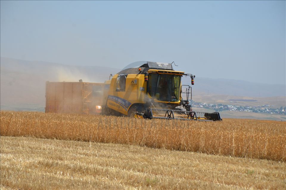 Tê texmînkirin ku li Mûşê ji dan û dexlê milyarek lire dahat were ...