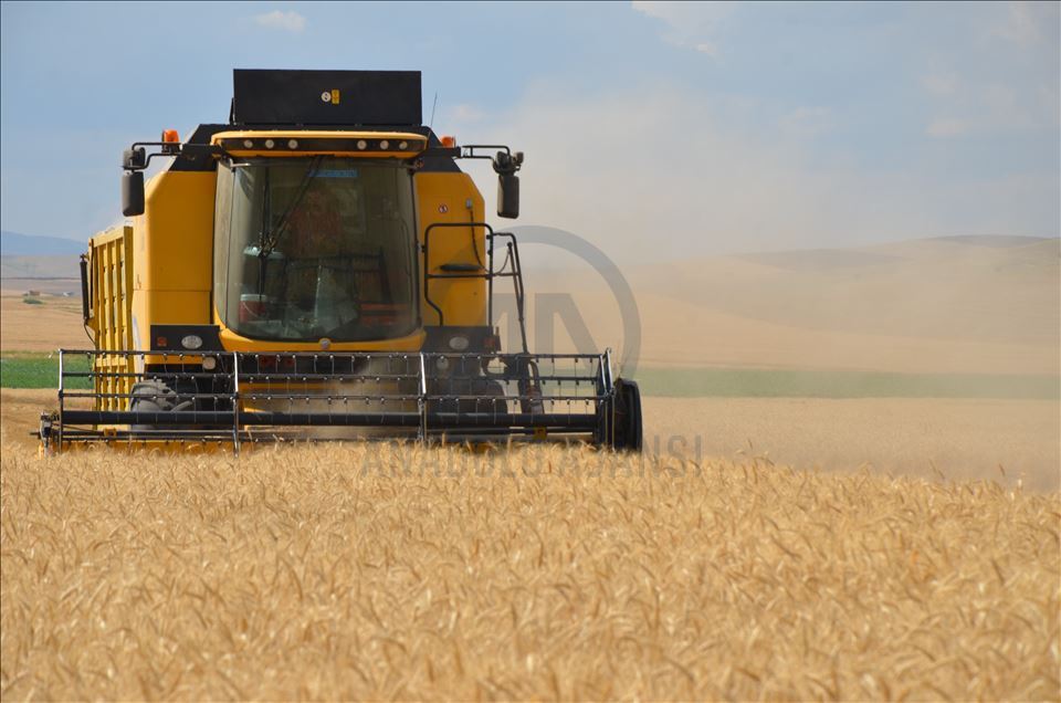 Tê texmînkirin ku li Mûşê ji dan û dexlê milyarek lire dahat were ...