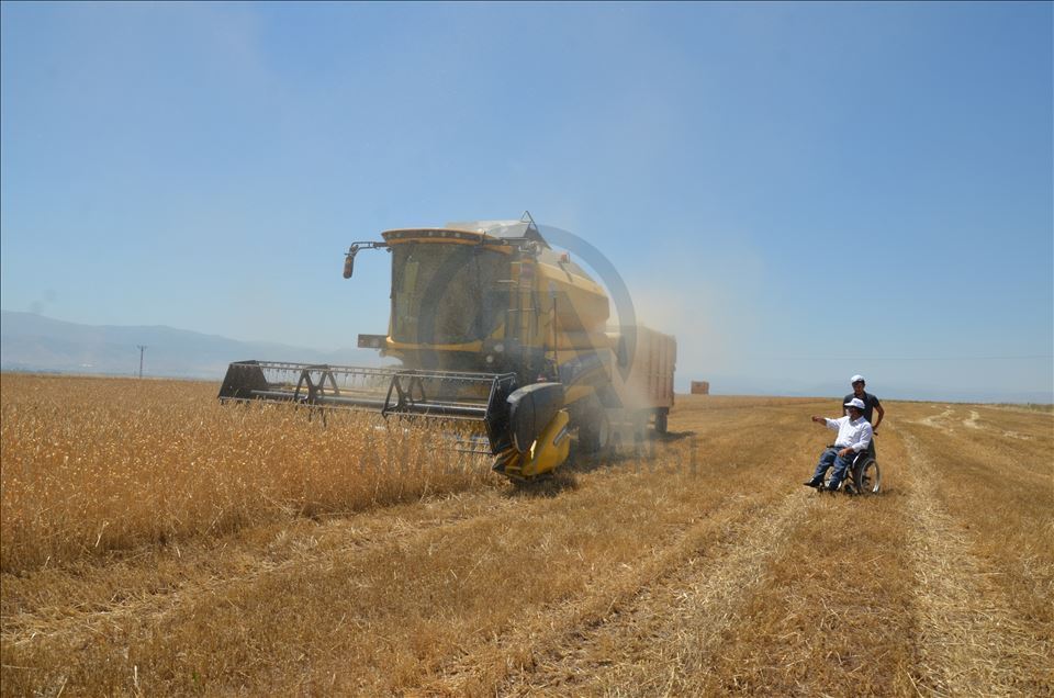 Tê texmînkirin ku li Mûşê ji dan û dexlê milyarek lire dahat were ...