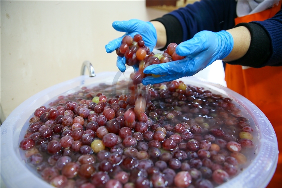 Des réfugiées syriennes apprennent à préparer le « pekmez » de raisin à ...