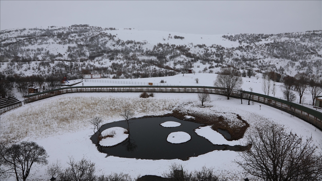 Floating islands of Turkey's Bingol during winter - Anadolu Ajansı