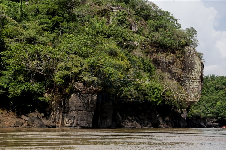 River Dolphins, thousands of species of birds, and natural wonders of ...