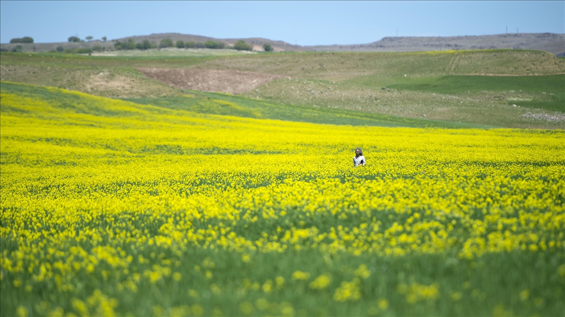 Spring in Turkey's Tunceli - Anadolu Ajansı