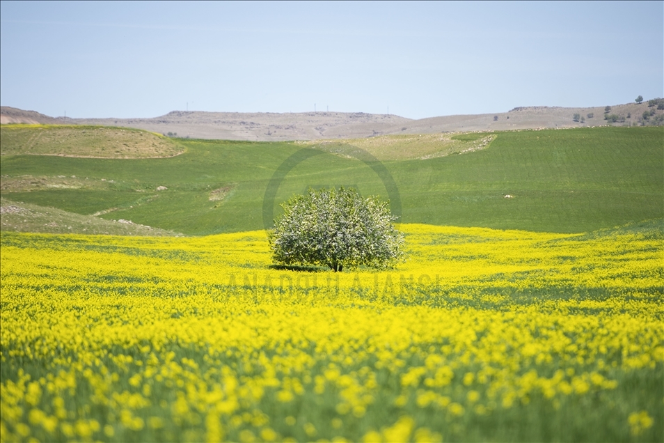 Spring in Turkey's Tunceli - Anadolu Ajansı
