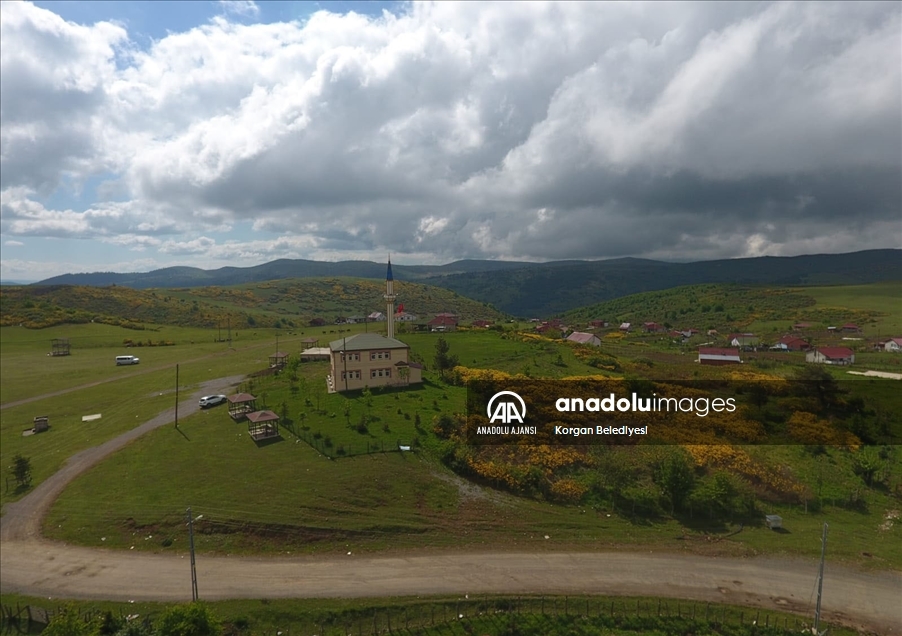 Orman gülleriyle cezbeden Korgan Yaylası misafirlerini ağırlamaya ...