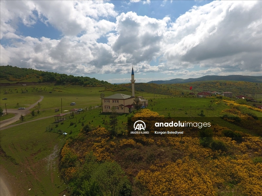 Orman gülleriyle cezbeden Korgan Yaylası misafirlerini ağırlamaya ...